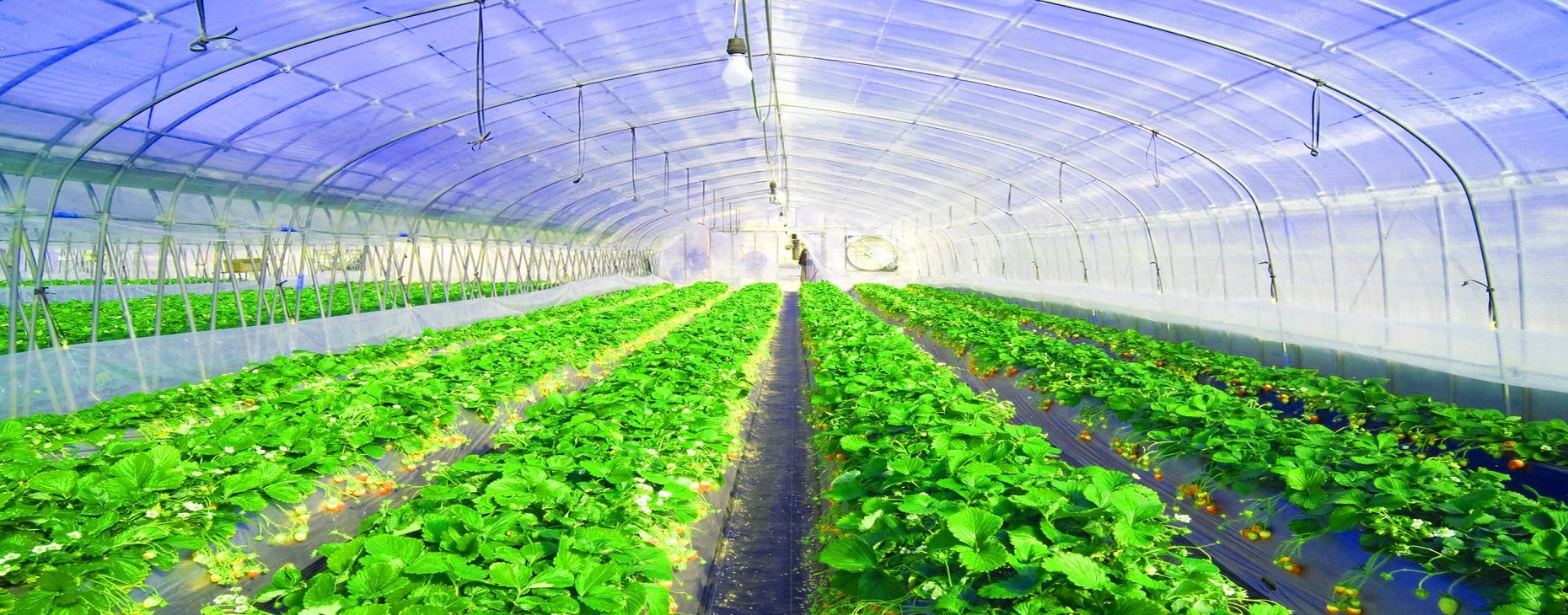 Omni Nature Tech Foundation